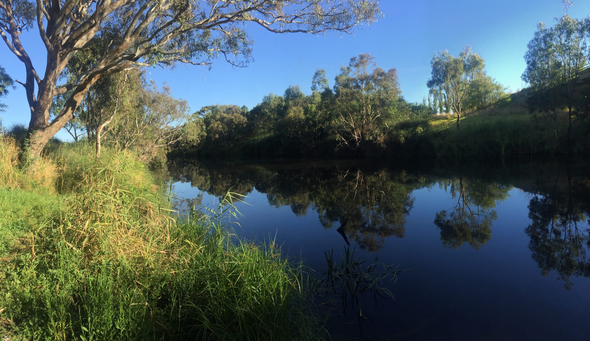Barwon Plain | Corangamite Regional Catchment Strategy